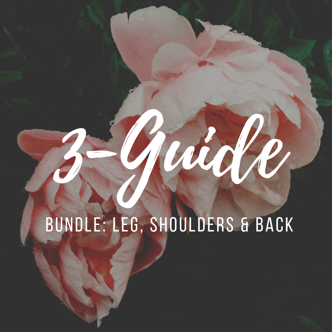 3-Guide Bundle – Paige Reilly